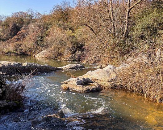 Using real-time monitoring and AI to clean up our rivers - Water ...